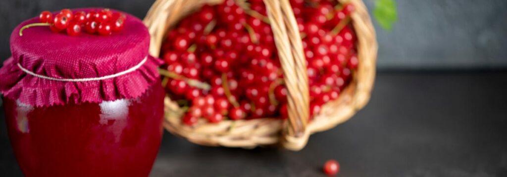 Ribisel Marmelade - 1 einfaches Rezept mit fruchtiger Power